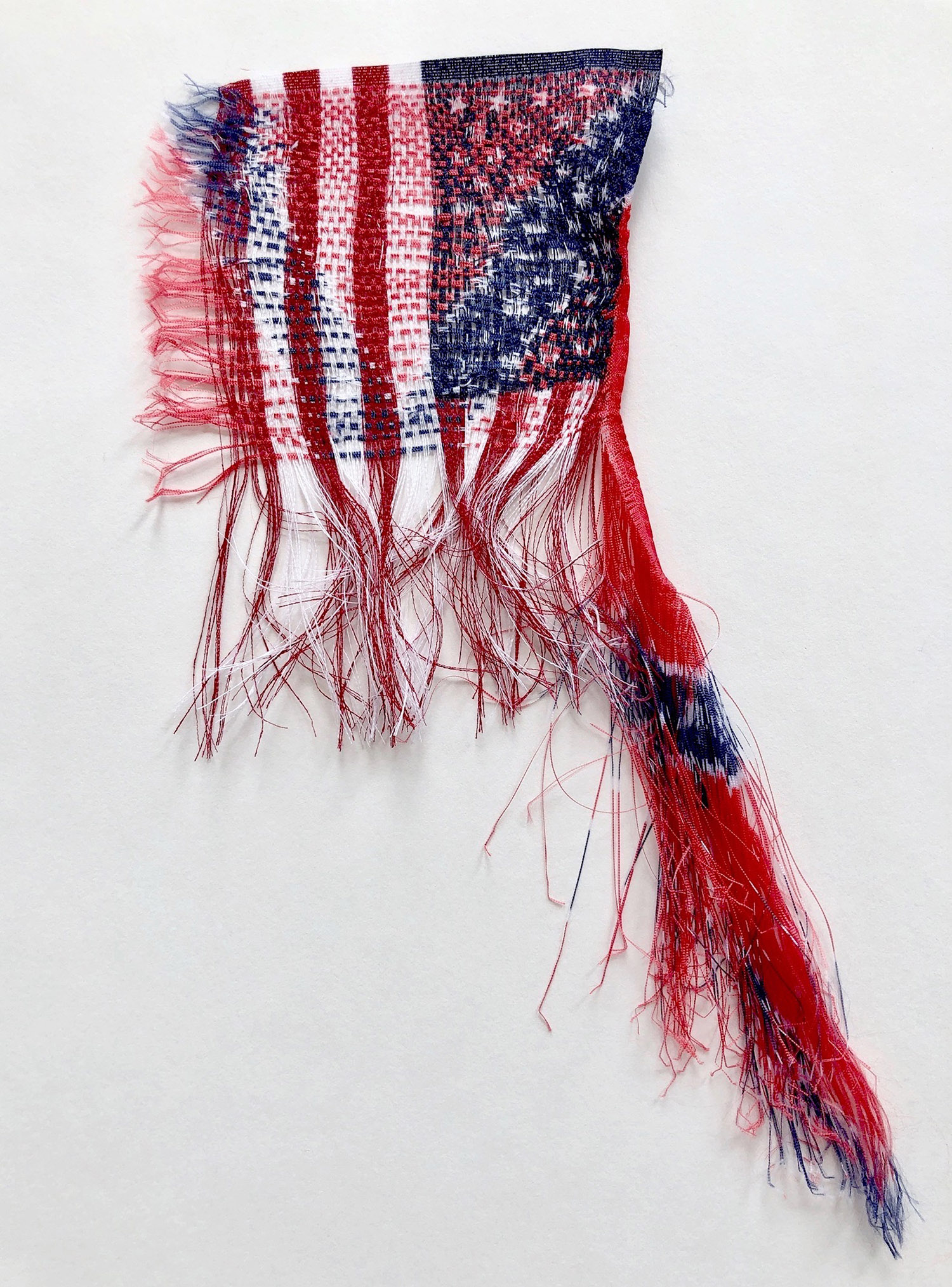 Sonya Clark | Regeneration